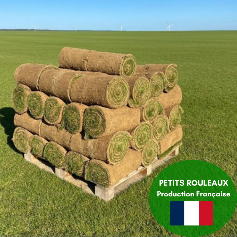 Achat petit rouleau de gazon en ligne | Paris Gazon